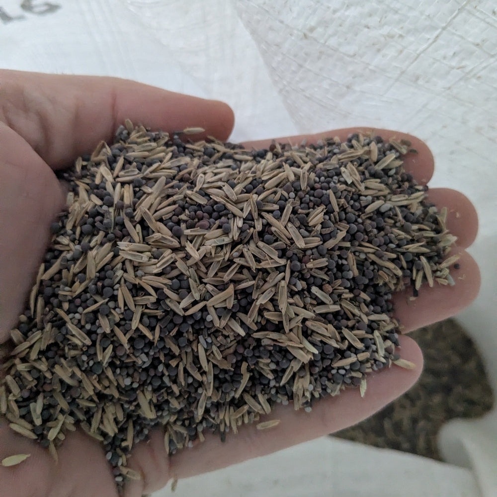 High Quality Seed - Premium Seed Genetics – Premium Seed Genetics